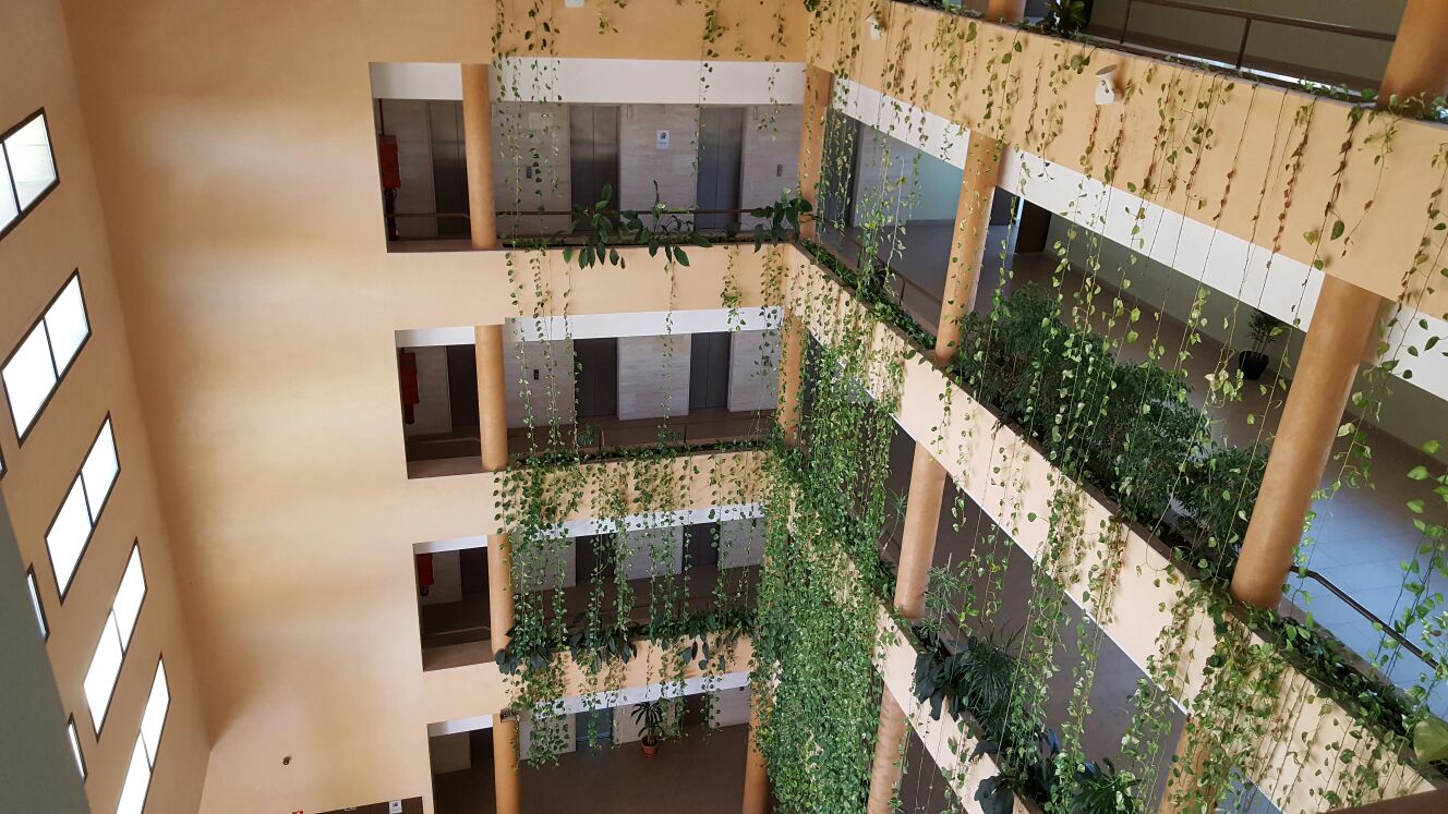 OFICINA EN TOMARES – Realtis